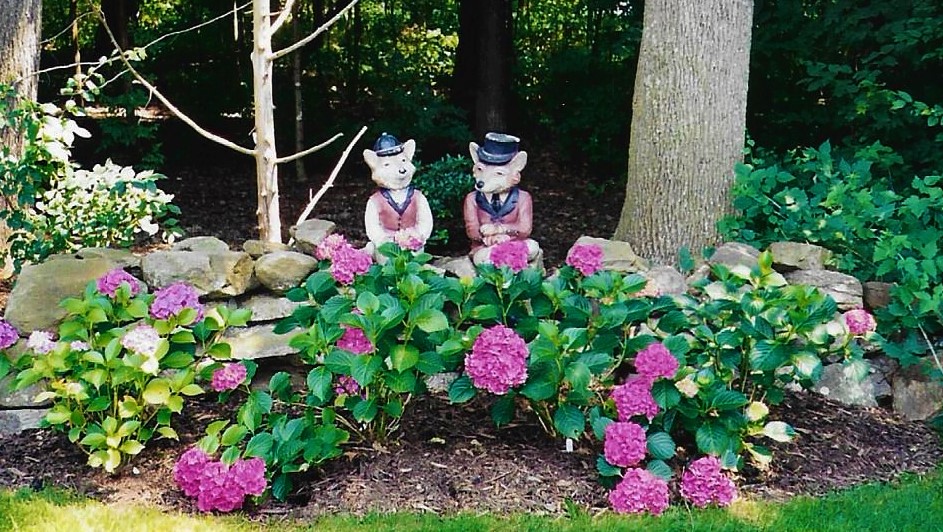 First signs of spring | Robins and foxes | Too Much Brudders blog