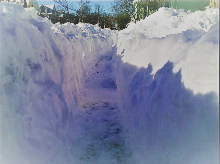 The Great Blizzard of '78 | Too Much Brudders blog